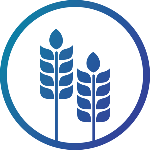 Core Values – COGOP Bahamas